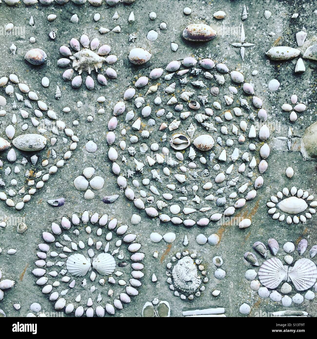 Pretty Shells High Resolution Stock Photography and Images - Alamy