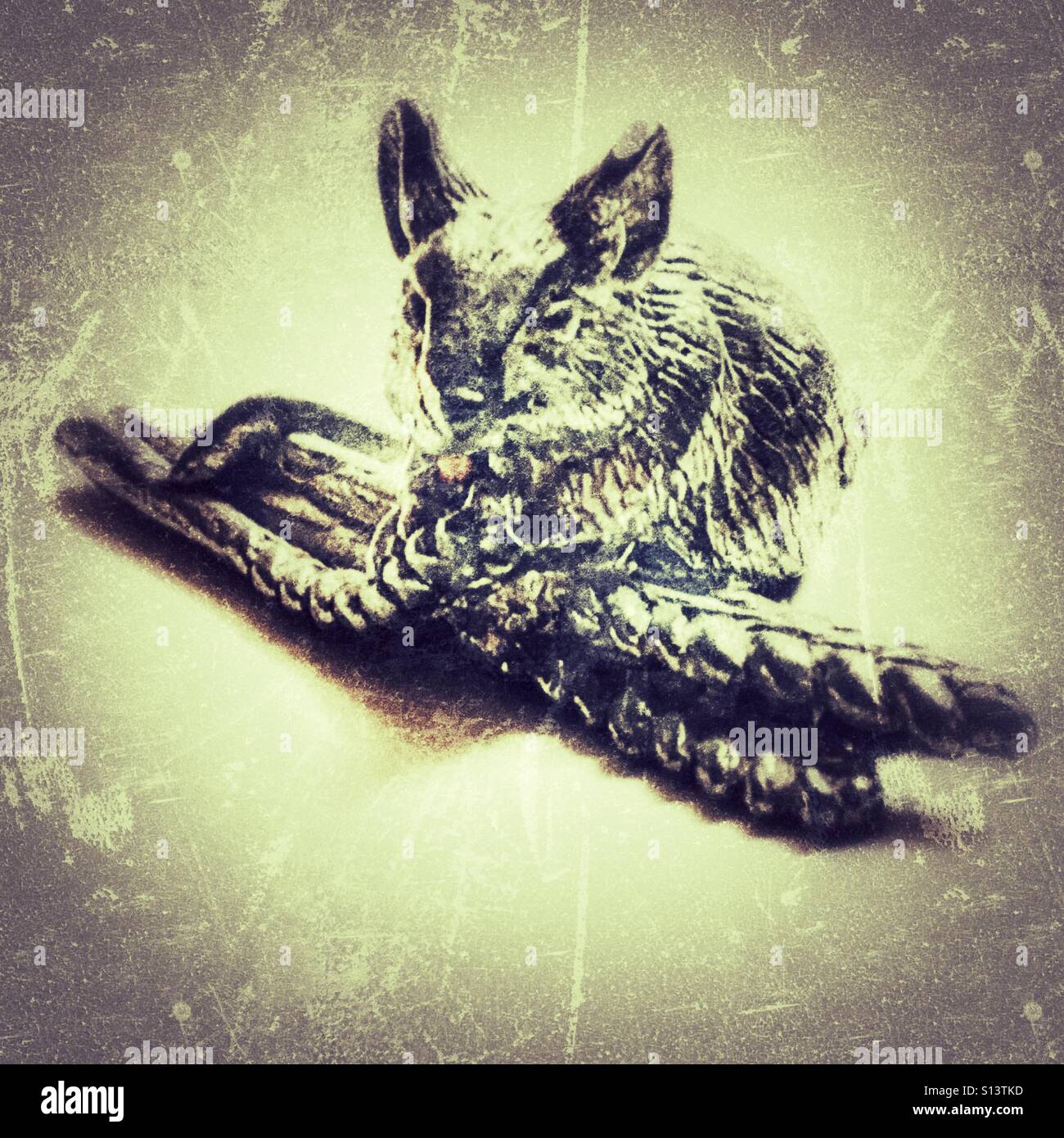 Mouse eating wheat Stock Photo - Alamy