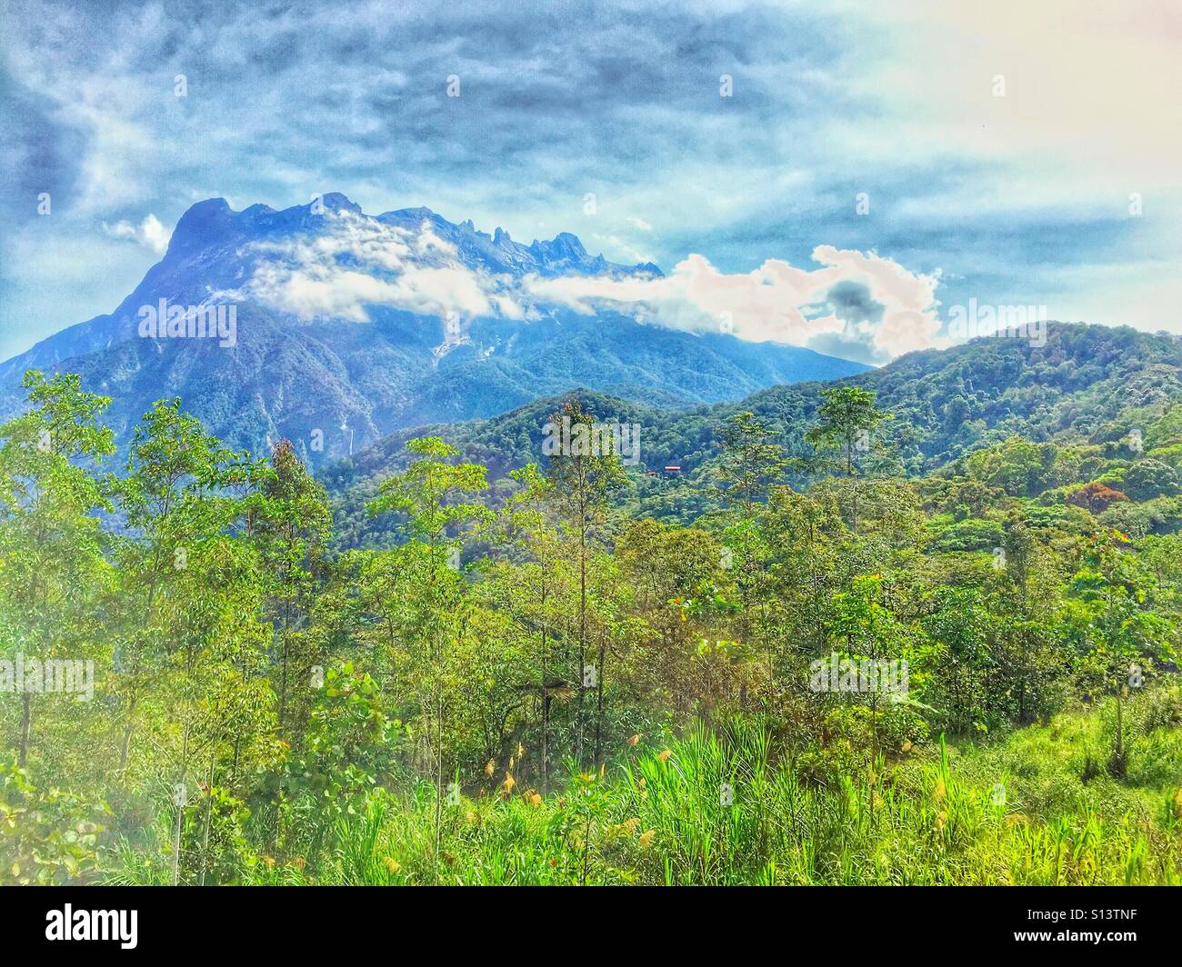 Mountain and jungle Stock Photo - Alamy