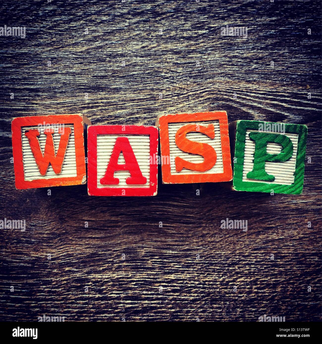 WASP word written with wood block letter toys Stock Photo - Alamy
