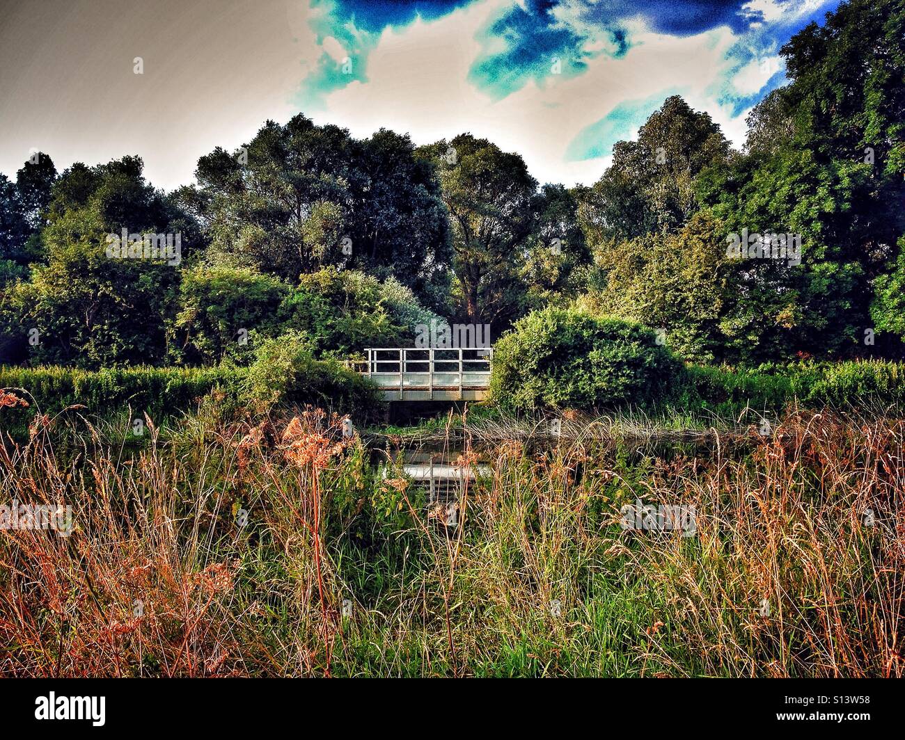 Trees and bridge hi-res stock photography and images - Alamy
