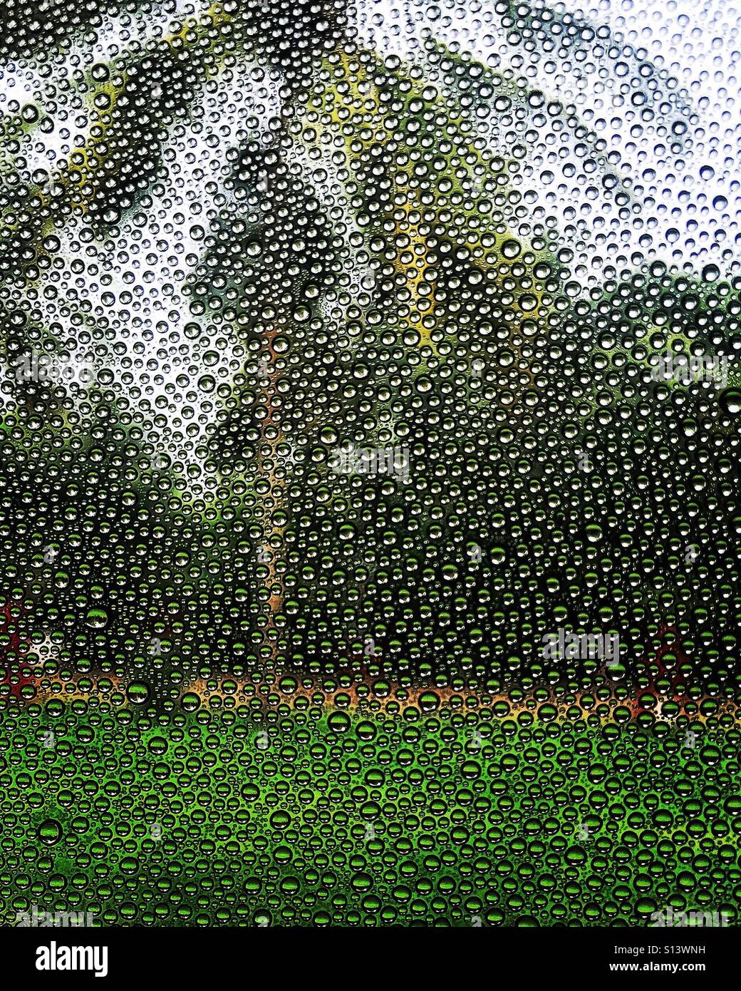 Dews of rain on the window! Stock Photo - Alamy