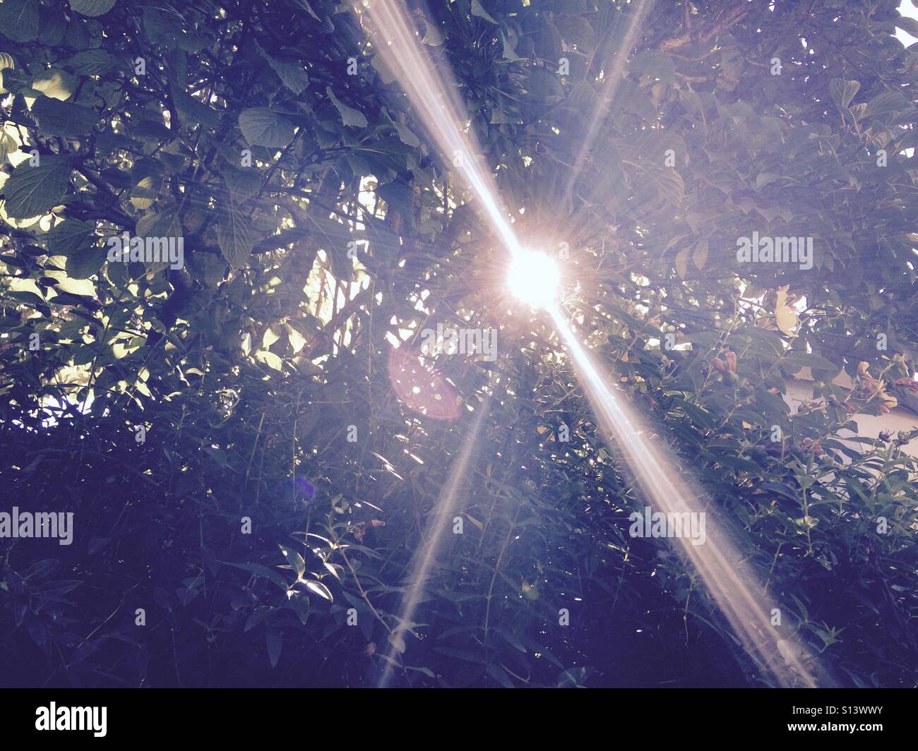 Haze flare hi-res stock photography and images - Alamy