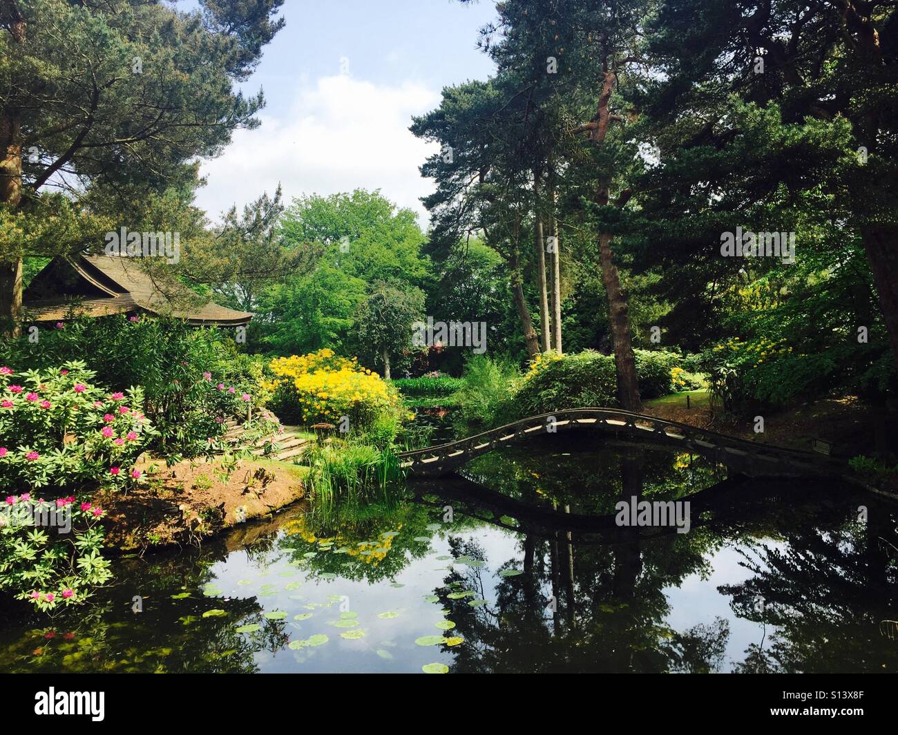 Tatton park gardens hi-res stock photography and images - Alamy
