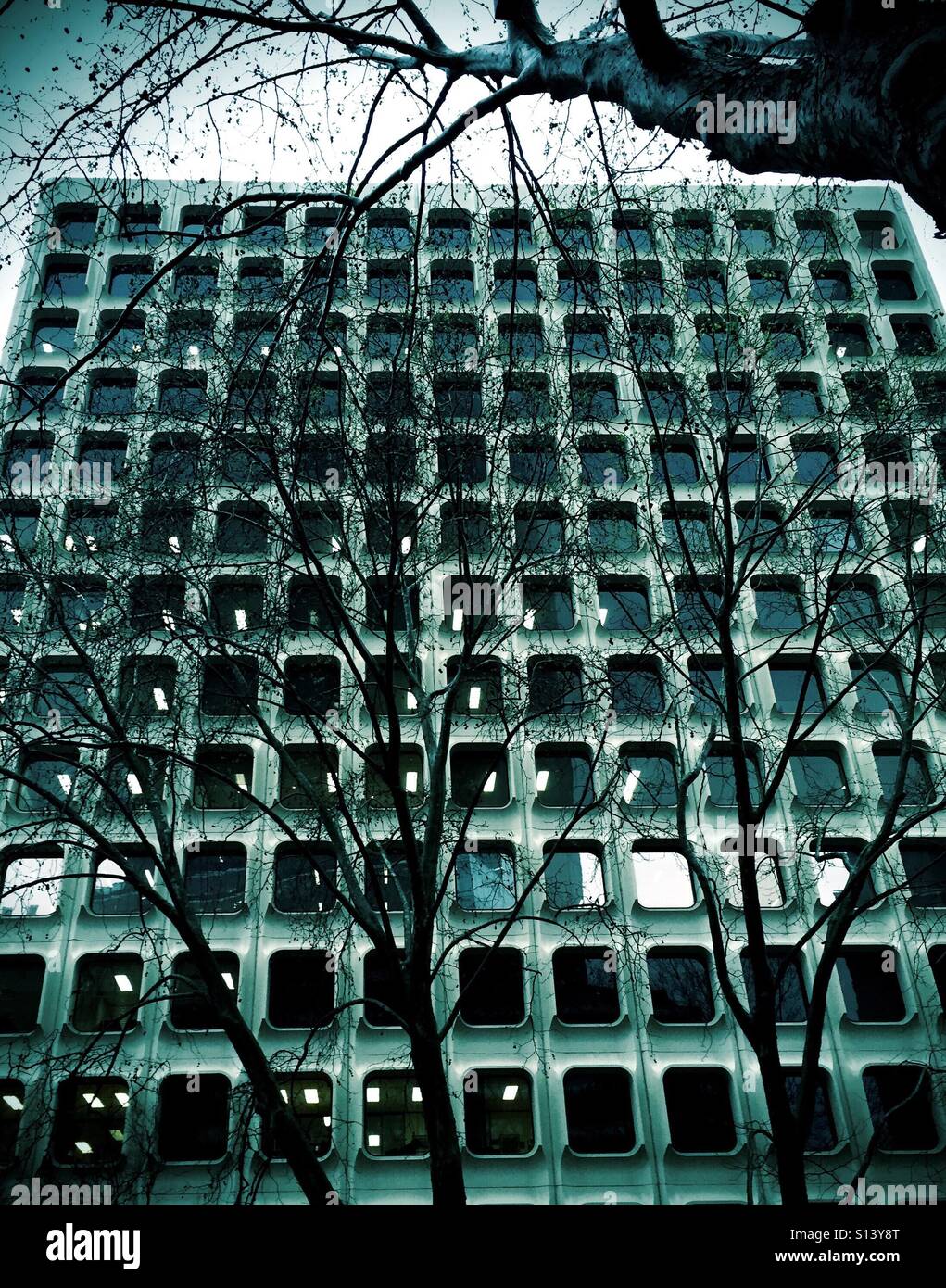 Office building and tree hi-res stock photography and images - Alamy