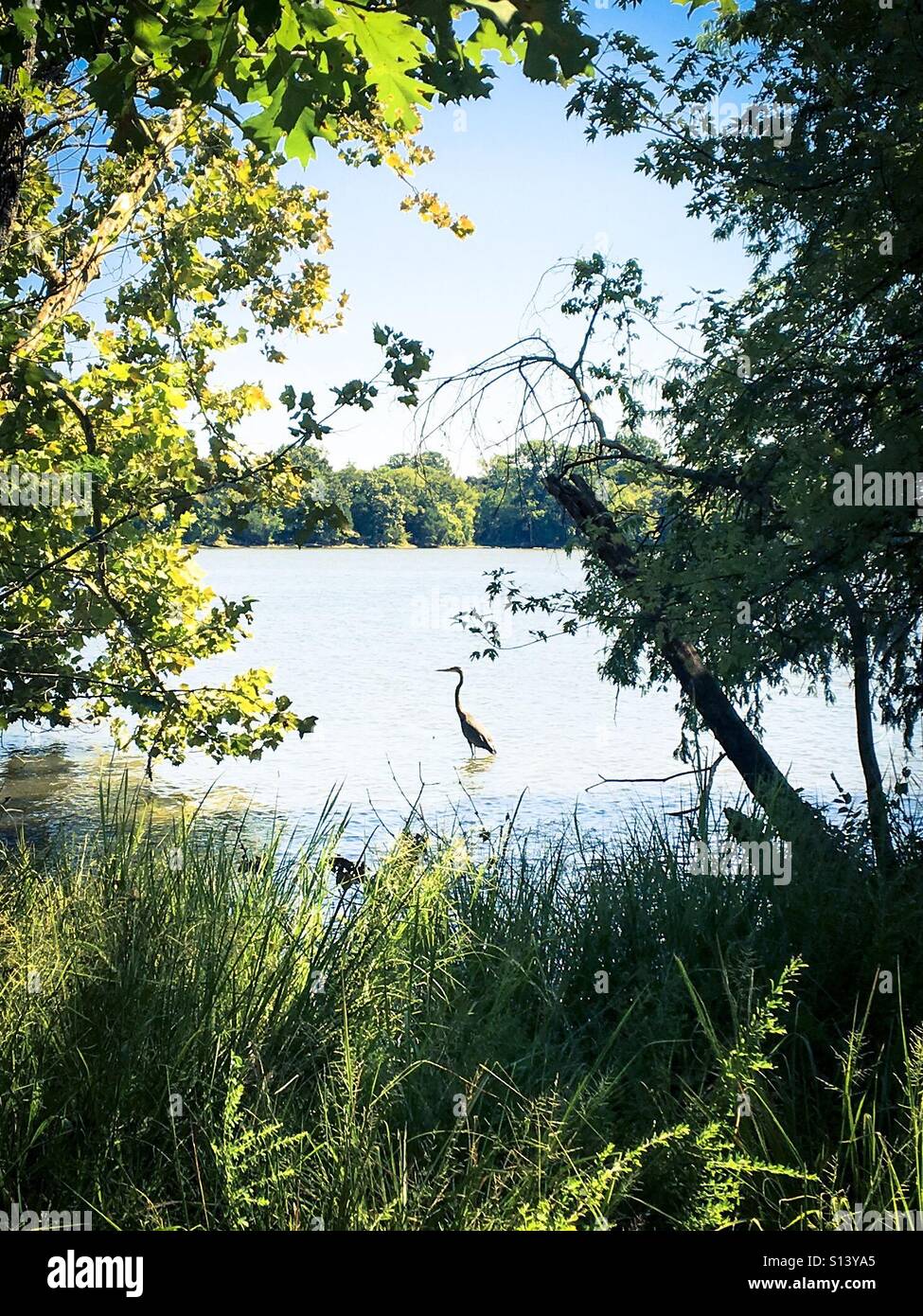 Bledsoe Creek State Park Stock Photo - Alamy
