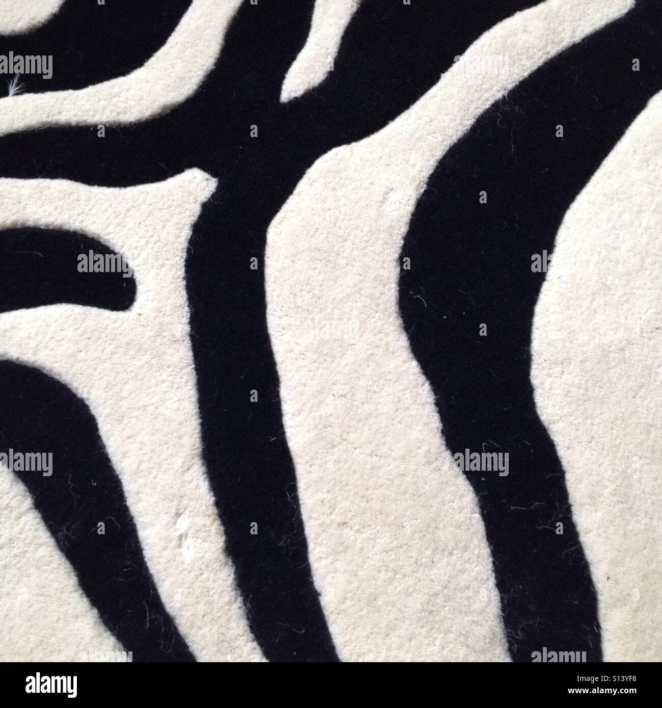Zebra stripes, black and white pattern Stock Photo - Alamy