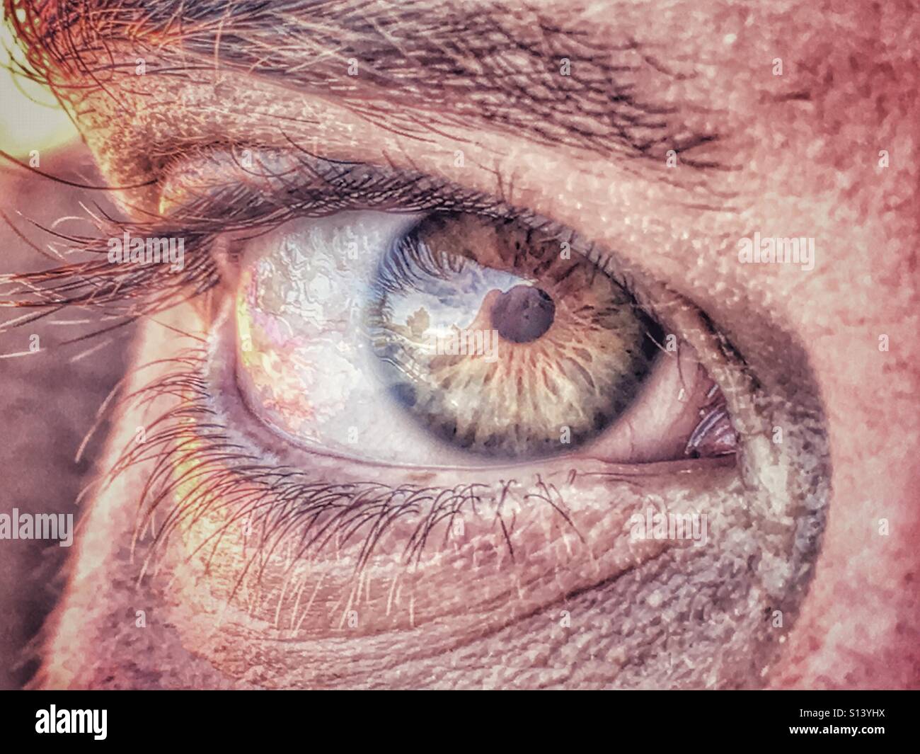 Eye , close up Stock Photo - Alamy
