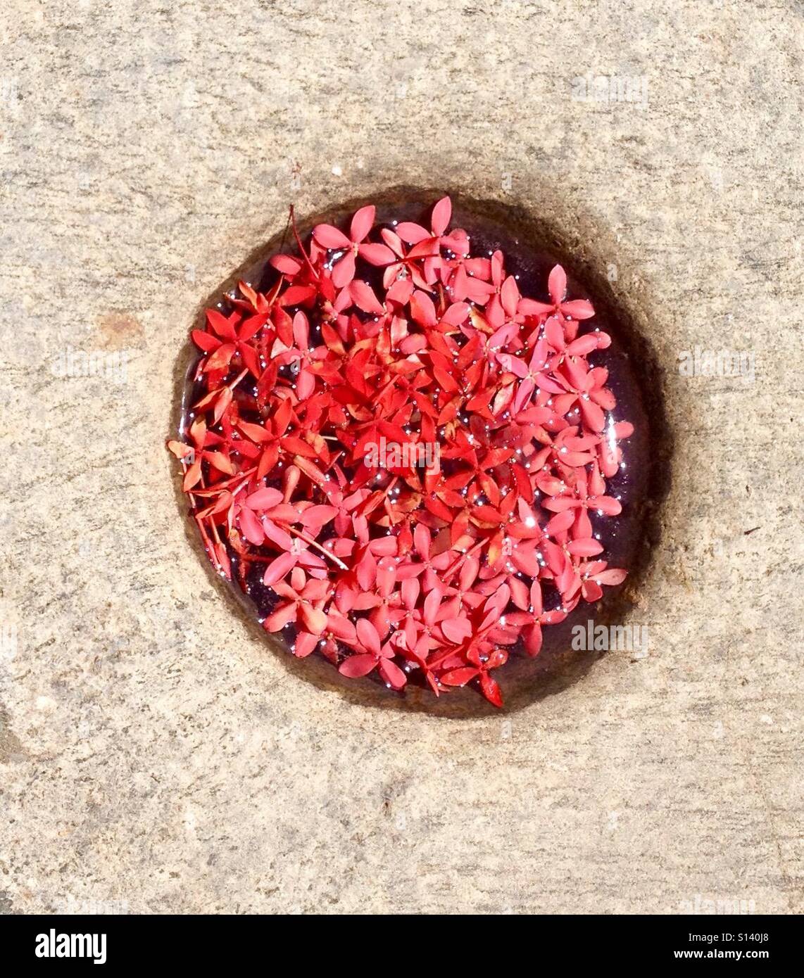 Flowers stone carving hi-res stock photography and images - Alamy