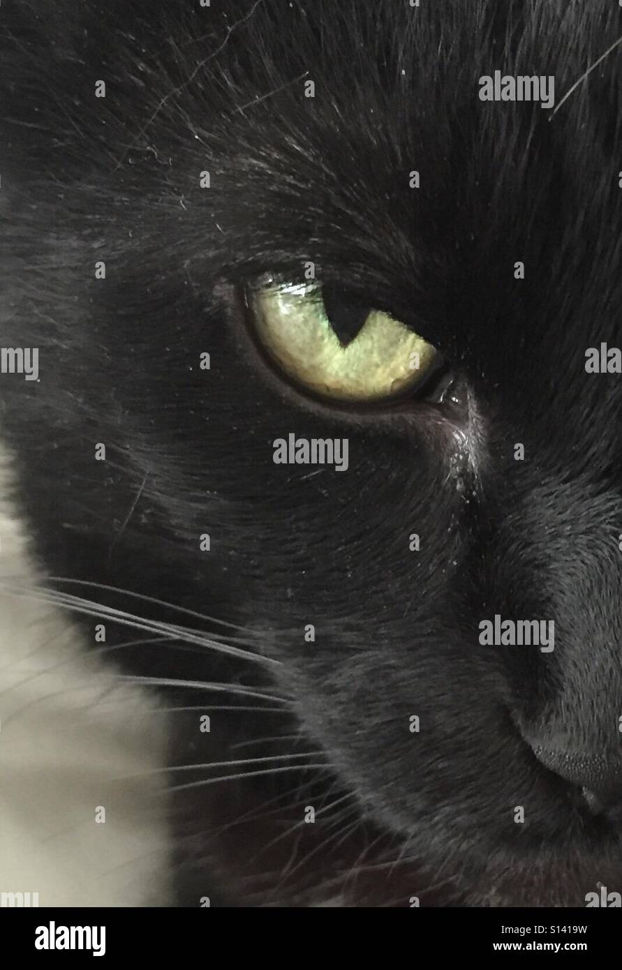 Boy, black eye hi-res stock photography and images - Alamy