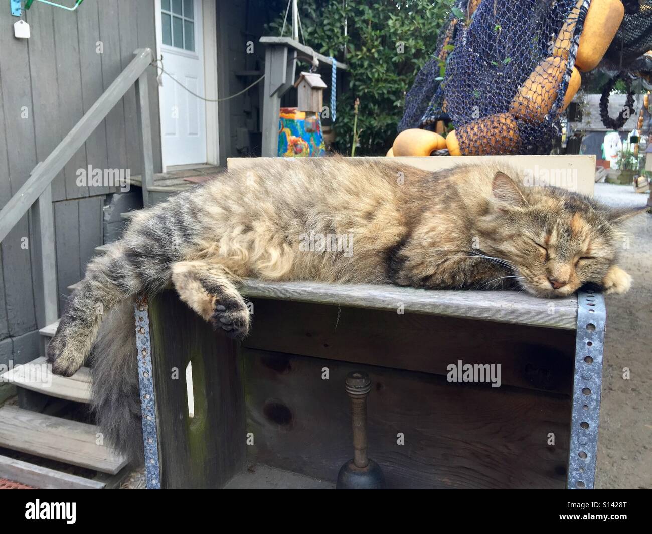 Kevin youmans hi-res stock photography and images - Alamy