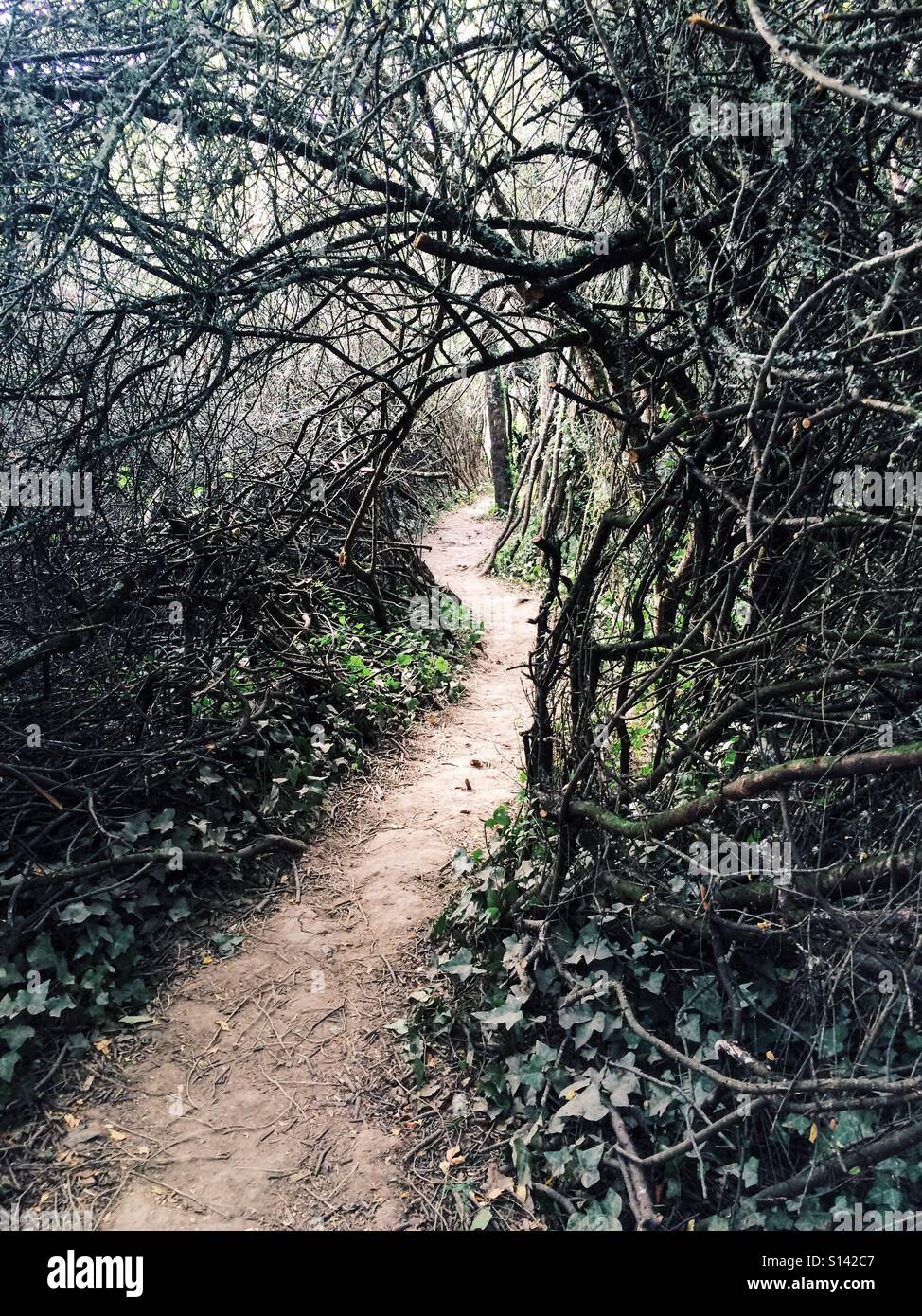 Windy path hi-res stock photography and images - Alamy