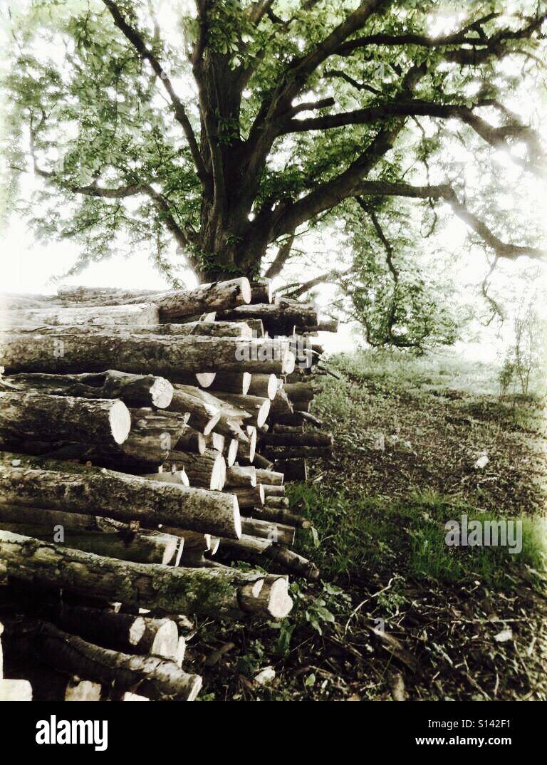 English country pile hi-res stock photography and images - Alamy