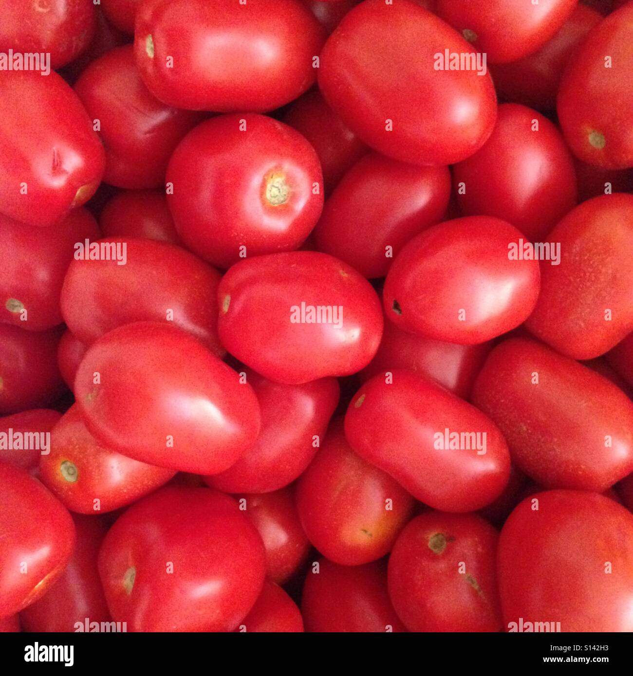 Roma tomatoes hi-res stock photography and images - Alamy