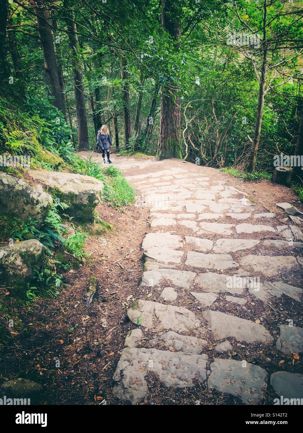 Lady climbing stairs hi-res stock photography and images - Alamy