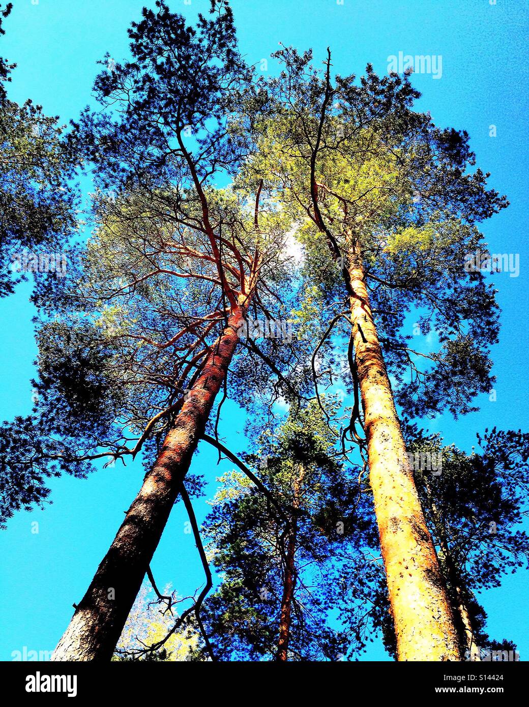 Just look up Stock Photo - Alamy