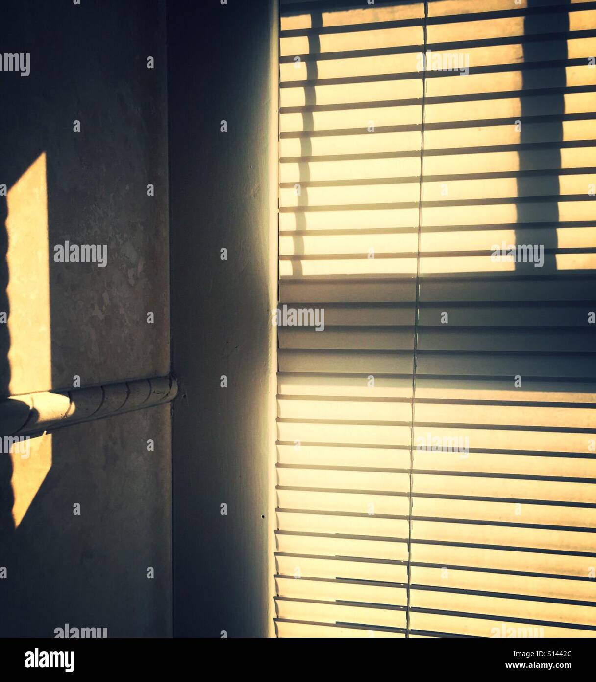 Light coming through window blinds Stock Photo - Alamy