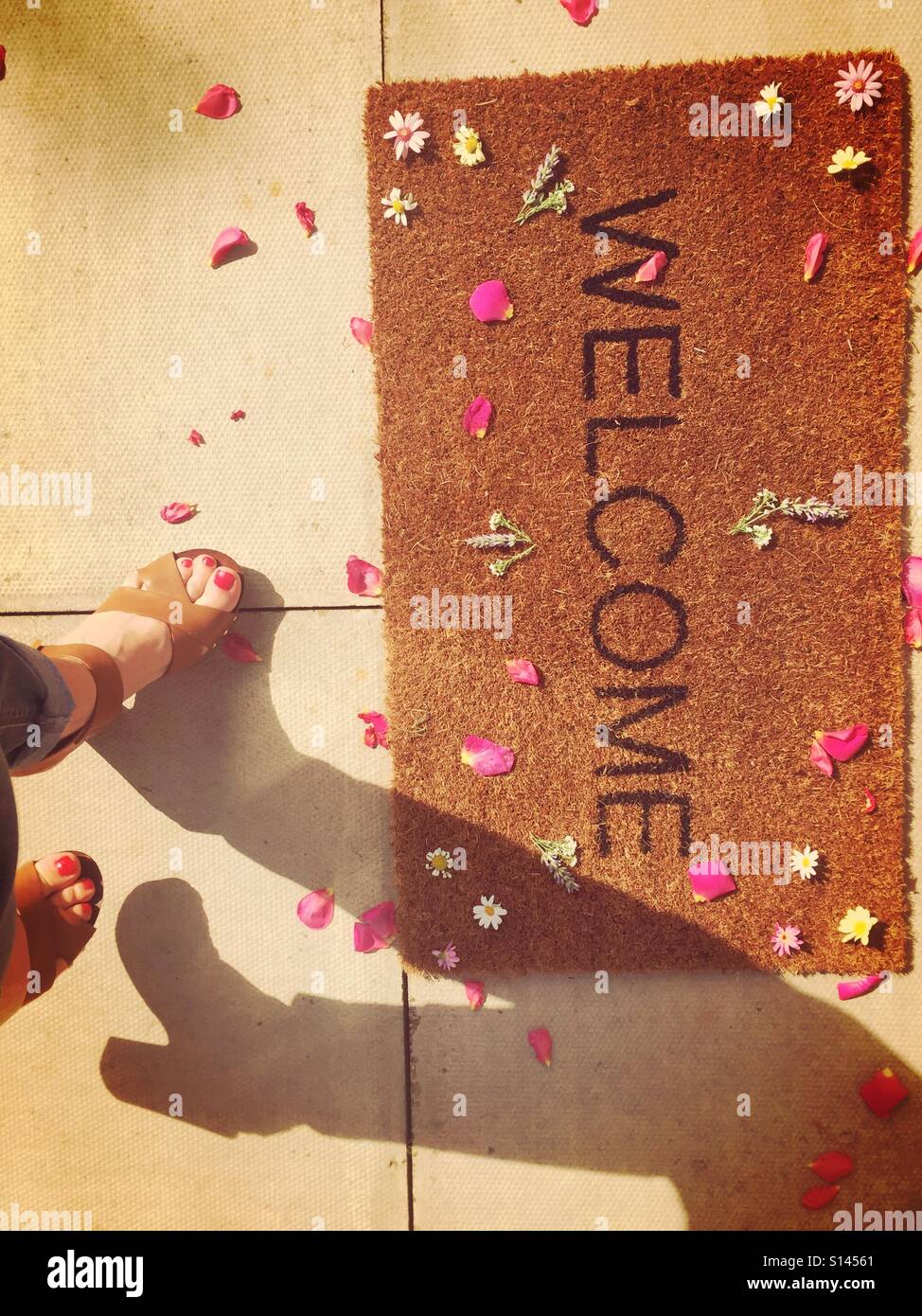 Wipe its feet hi-res stock photography and images - Alamy