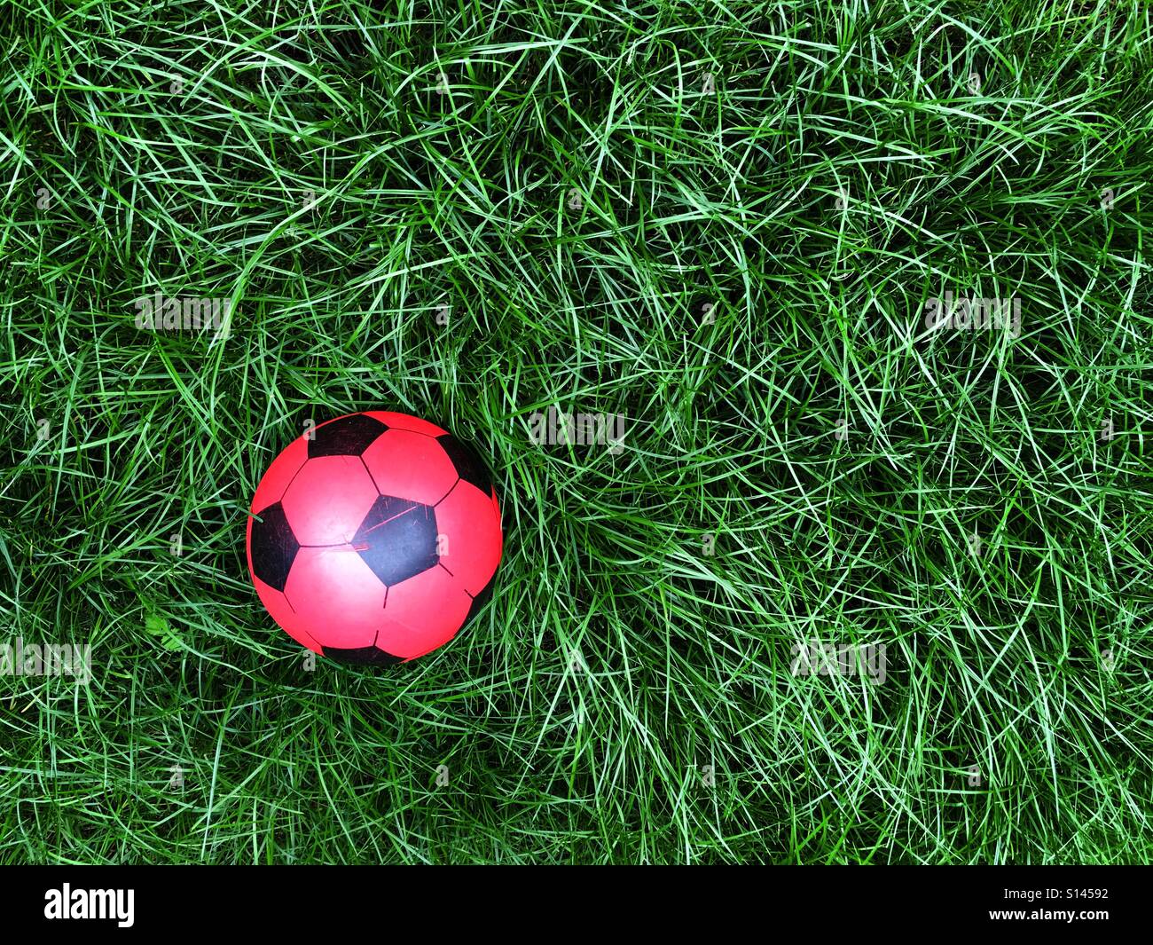 Football on green hi-res stock photography and images - Alamy