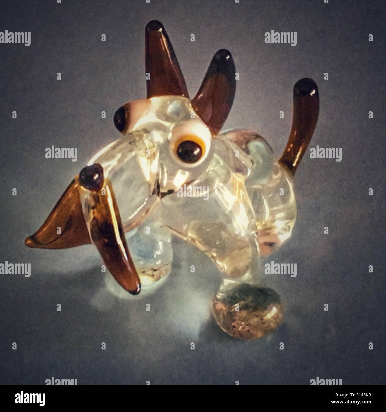 Handmade glass dog Stock Photo - Alamy