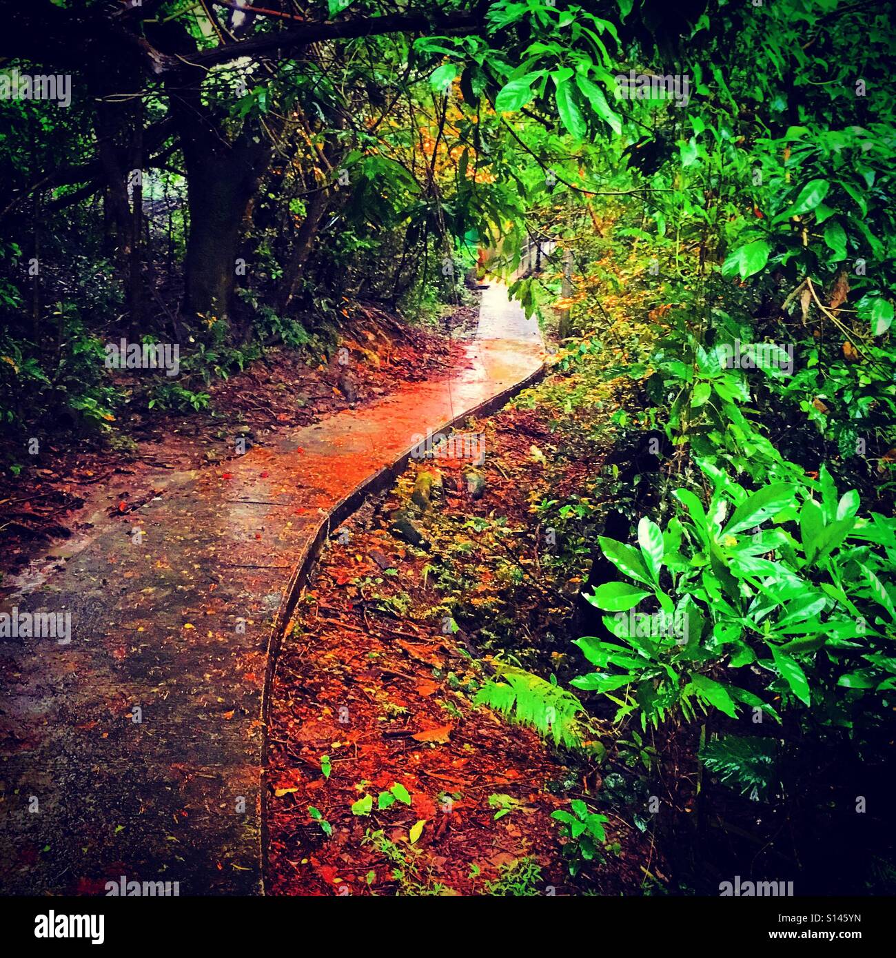 Curved footpath hi-res stock photography and images - Alamy