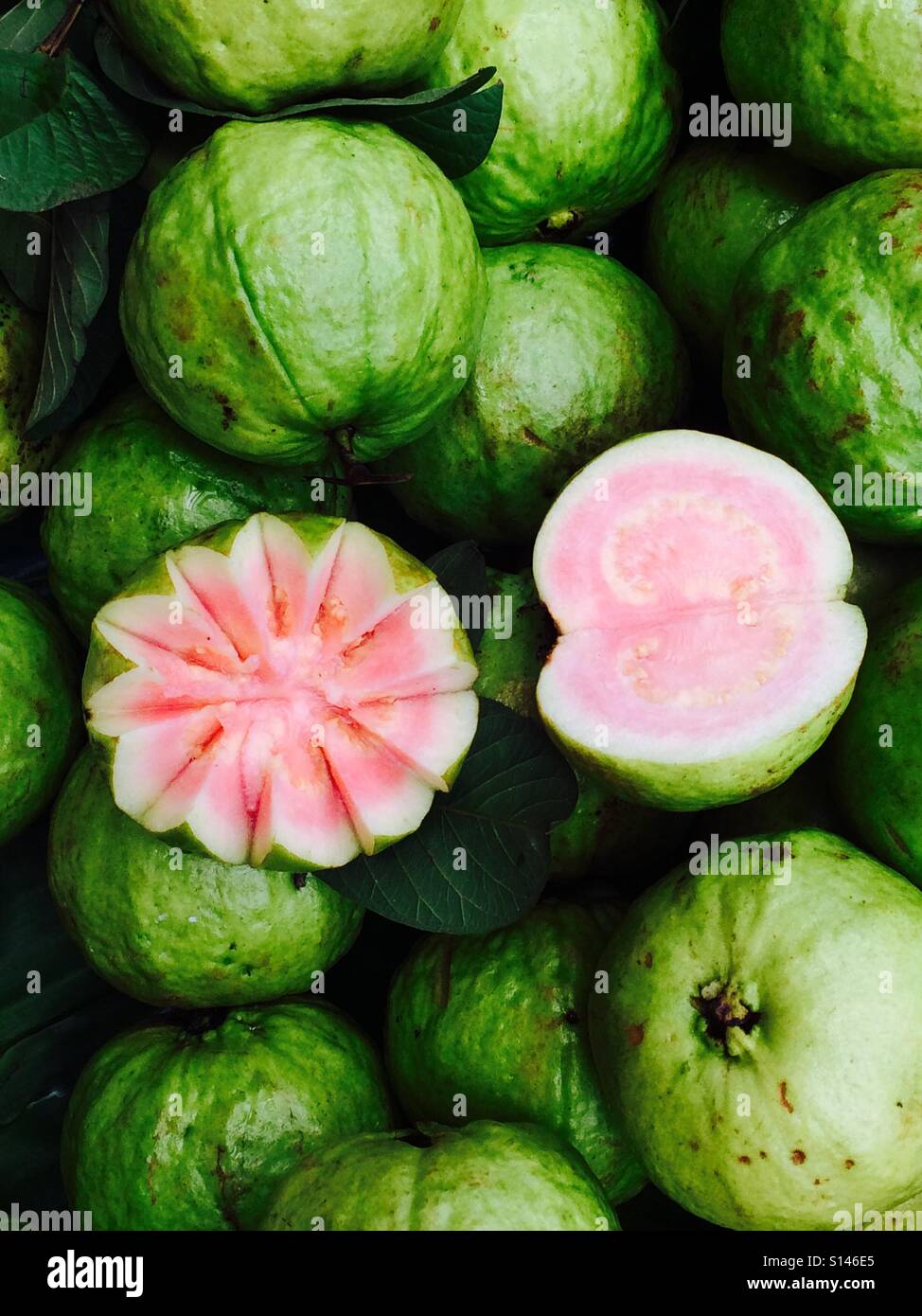 Market Guava Fruits Stock Photos & Market Guava Fruits Stock Images - Alamy