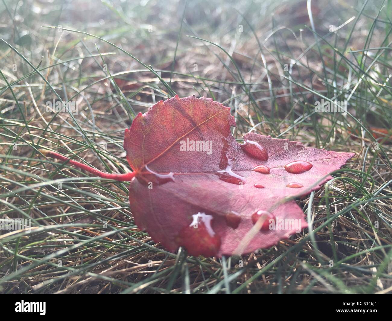 Signs of autumn hi-res stock photography and images - Alamy