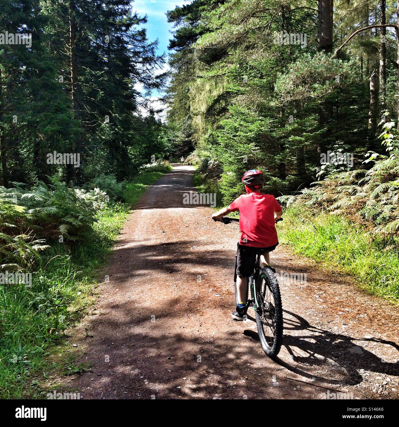 A young boy riding his bike at Grizedale, Cumbria Stock Photo - Alamy