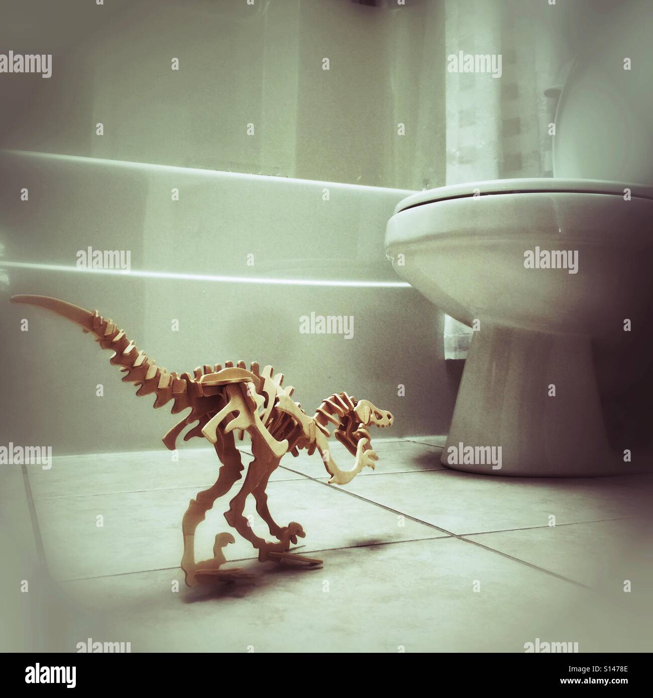 A skeletal dinosaur figure runs toward the toilet in a bathroom Stock ...