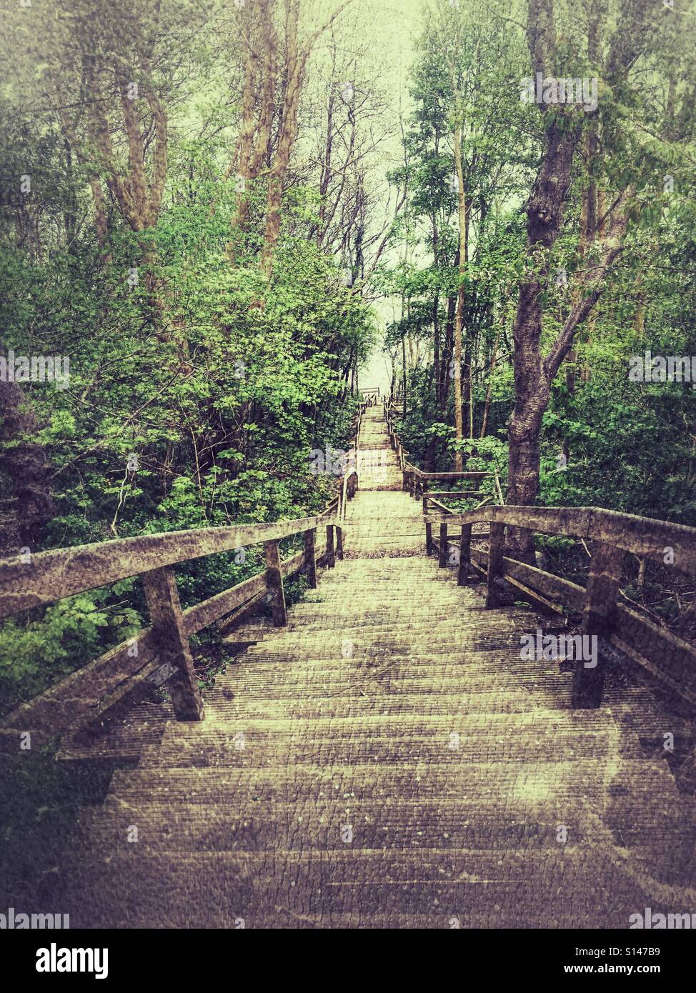Long stairs hi-res stock photography and images - Alamy