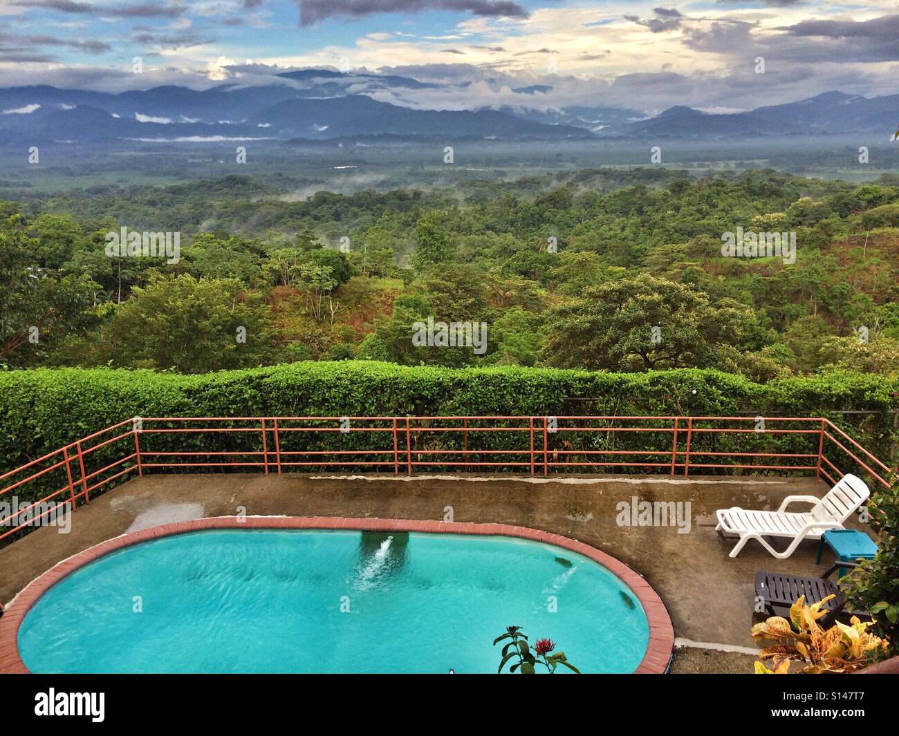 Jungle swimming pool hi-res stock photography and images - Alamy