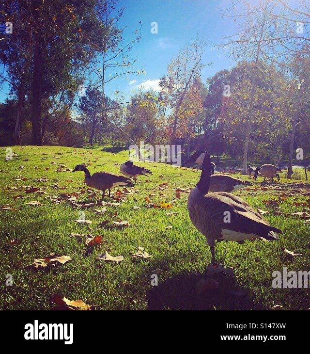 Socal in the fall hi-res stock photography and images - Alamy