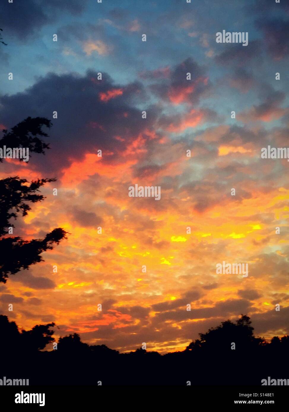 Orange sunset backdrop Stock Photo - Alamy