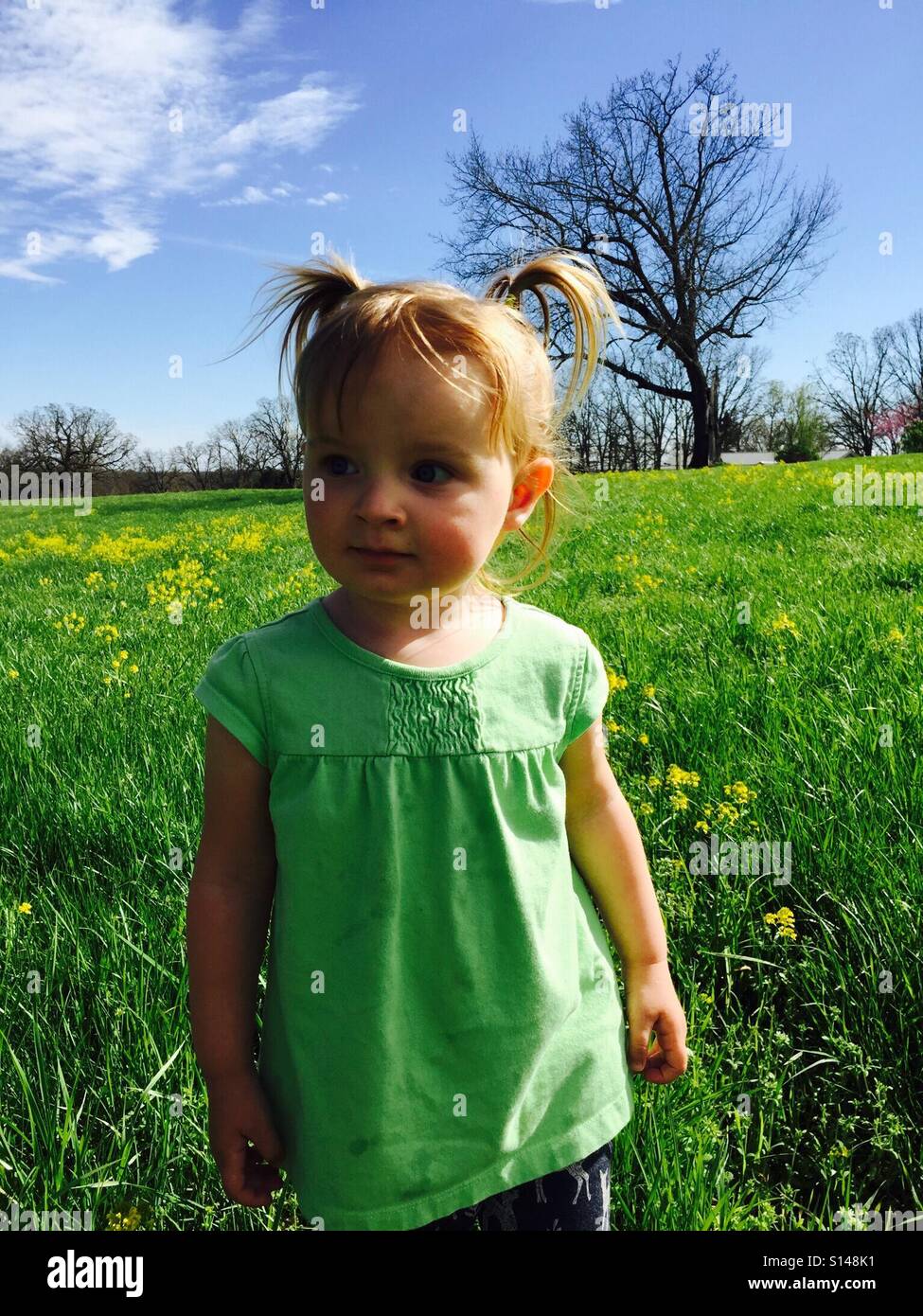 Pony tails hi-res stock photography and images - Alamy