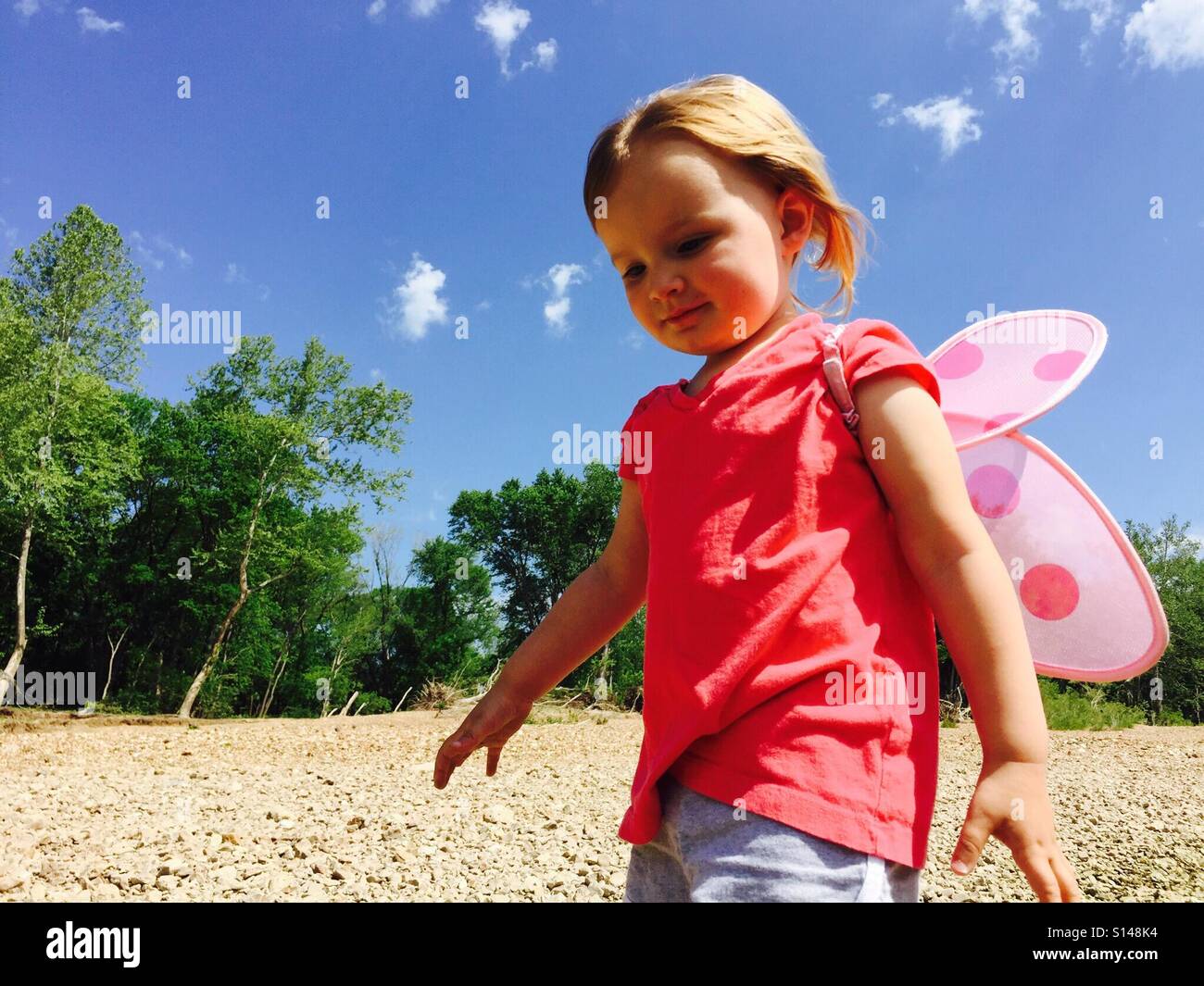 Missouri butterfly hi-res stock photography and images - Alamy