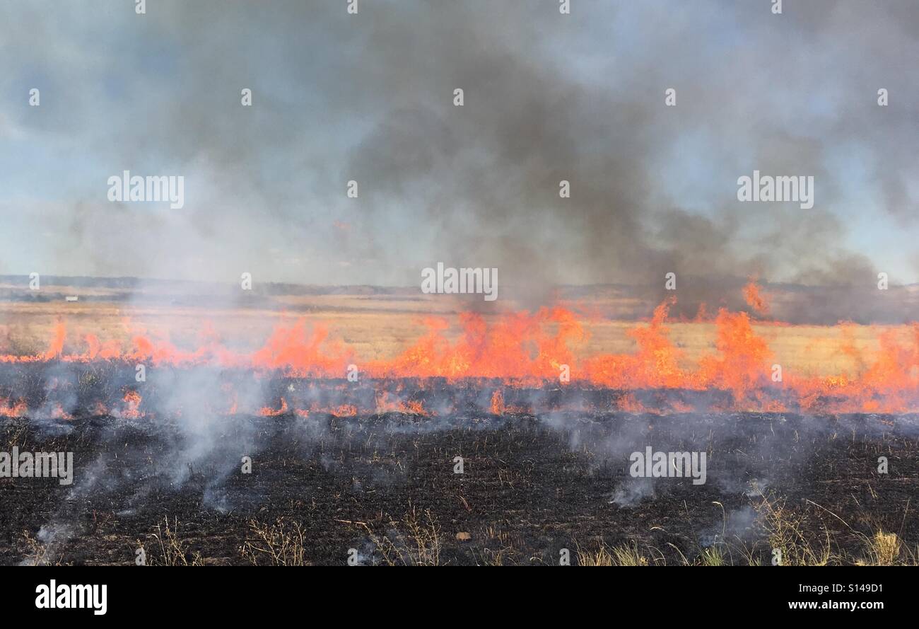 Grass fire hi-res stock photography and images - Alamy