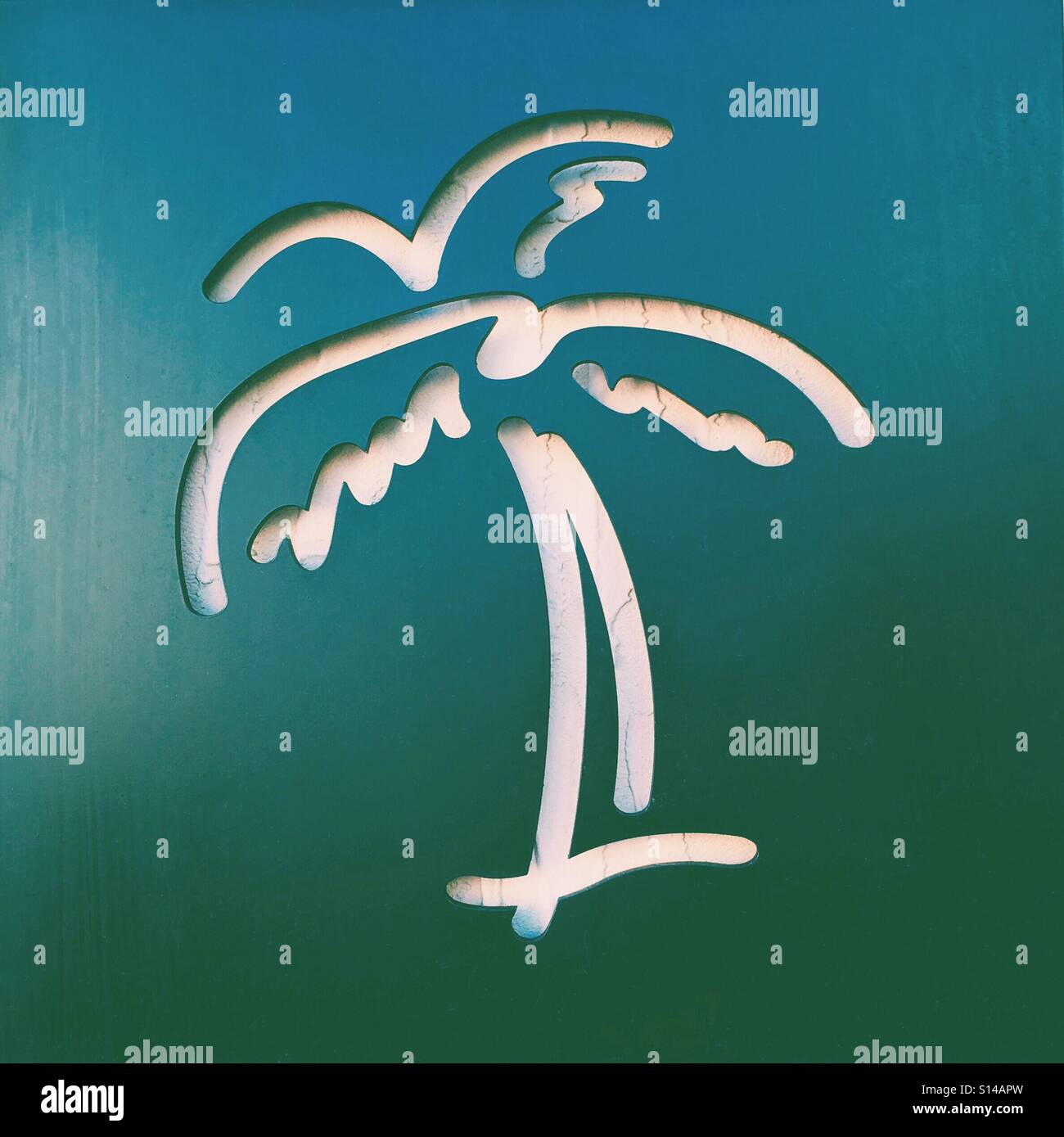Real palm tree cut out hi-res stock photography and images - Alamy