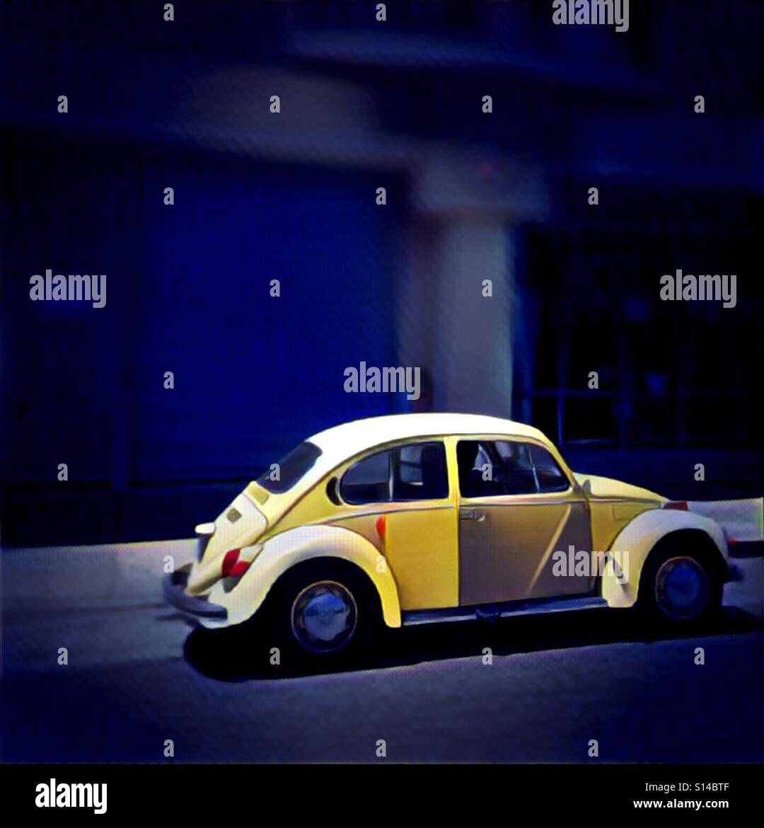 Yellow beatle hi-res stock photography and images - Alamy