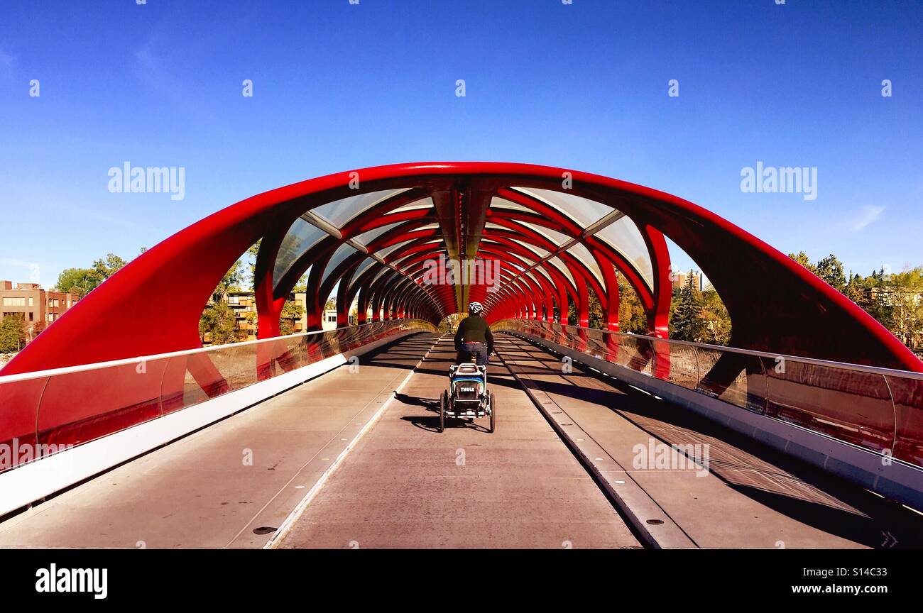 A cyclist with a bike trailer uses the designated cycle path on the ...