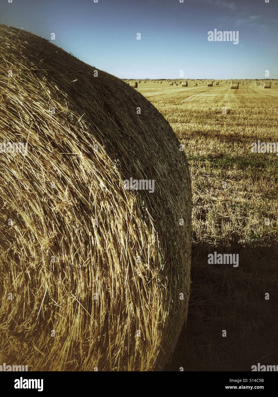 Large round bale hay hi-res stock photography and images - Alamy