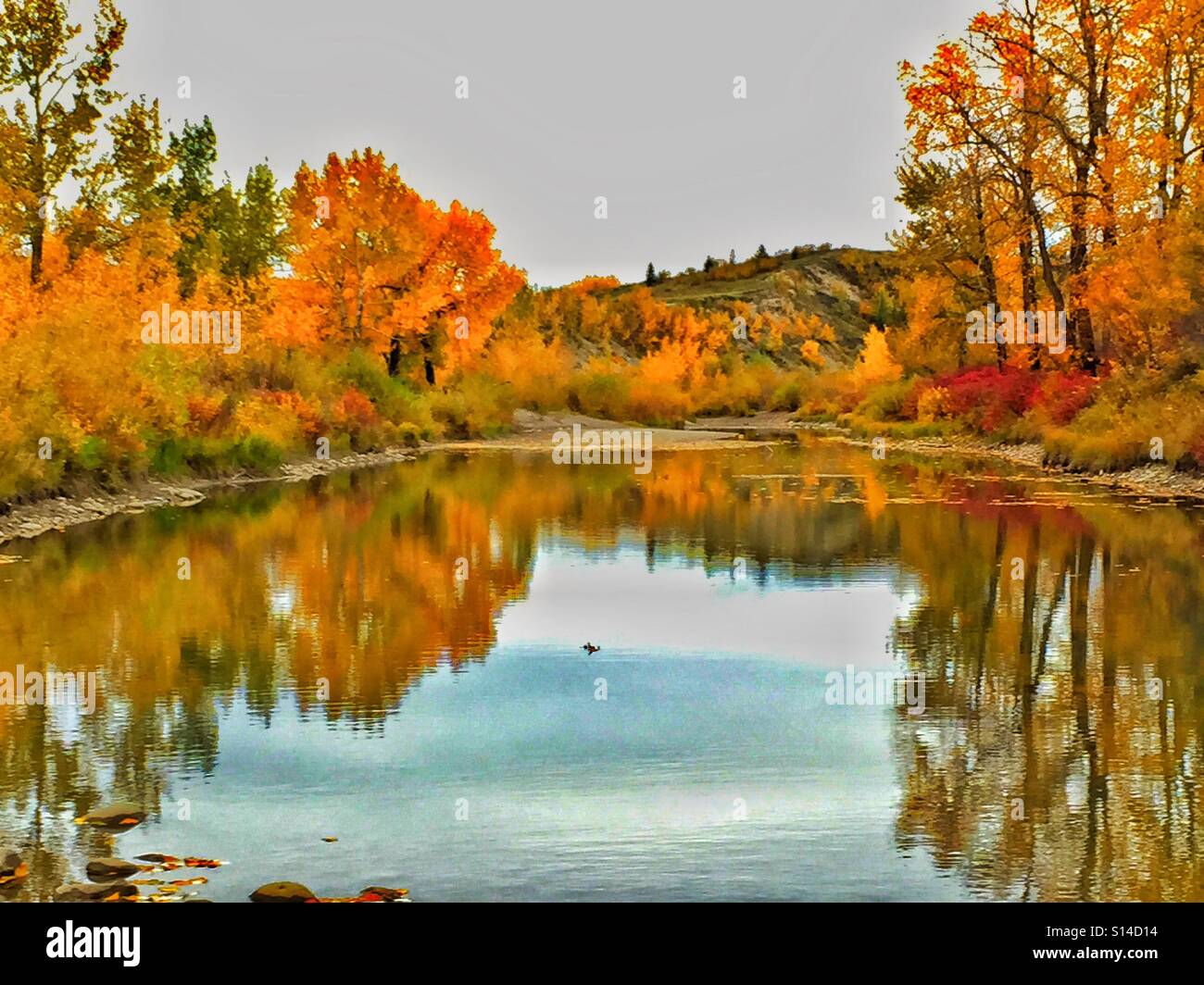 Reflections in small pond hi-res stock photography and images - Alamy