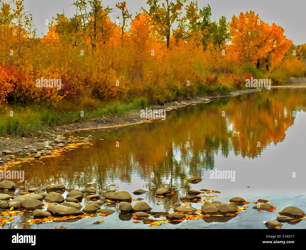 Autumn reflections in a small pond Stock Photo - Alamy
