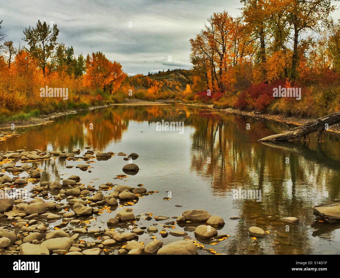 Autumn reflections in a small pond Stock Photo - Alamy