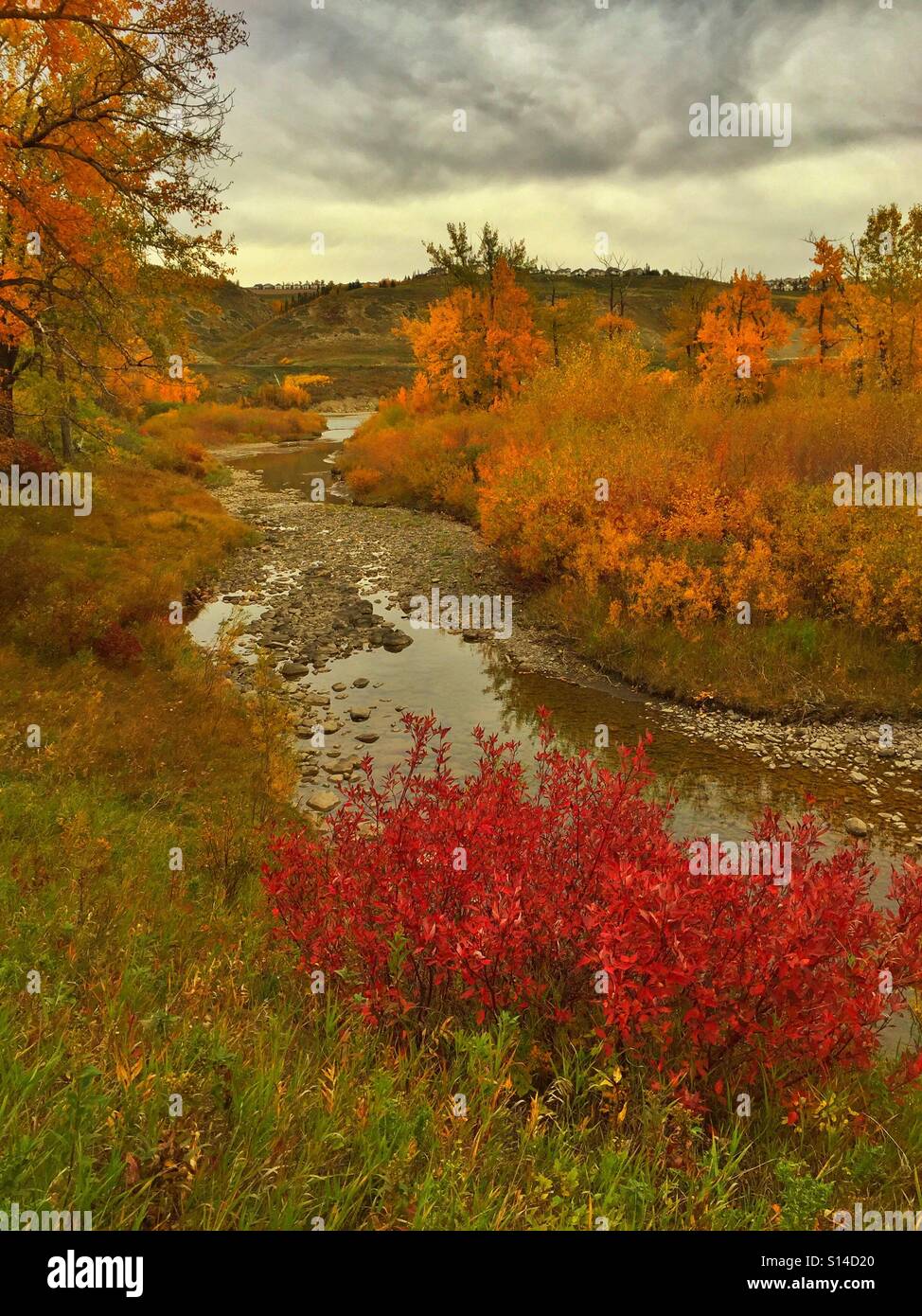 Autumn reflections in a small stream III Stock Photo - Alamy