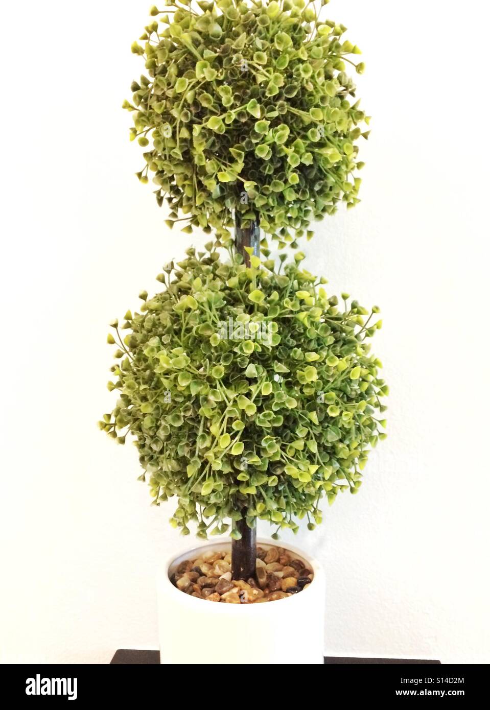 Circle plant hi-res stock photography and images - Alamy