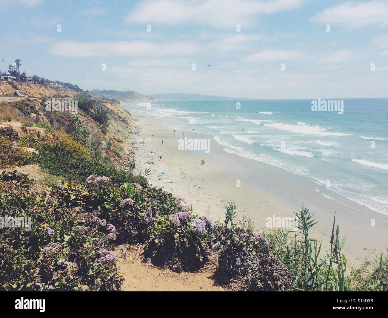 Beach in Del Mar California Stock Photo - Alamy