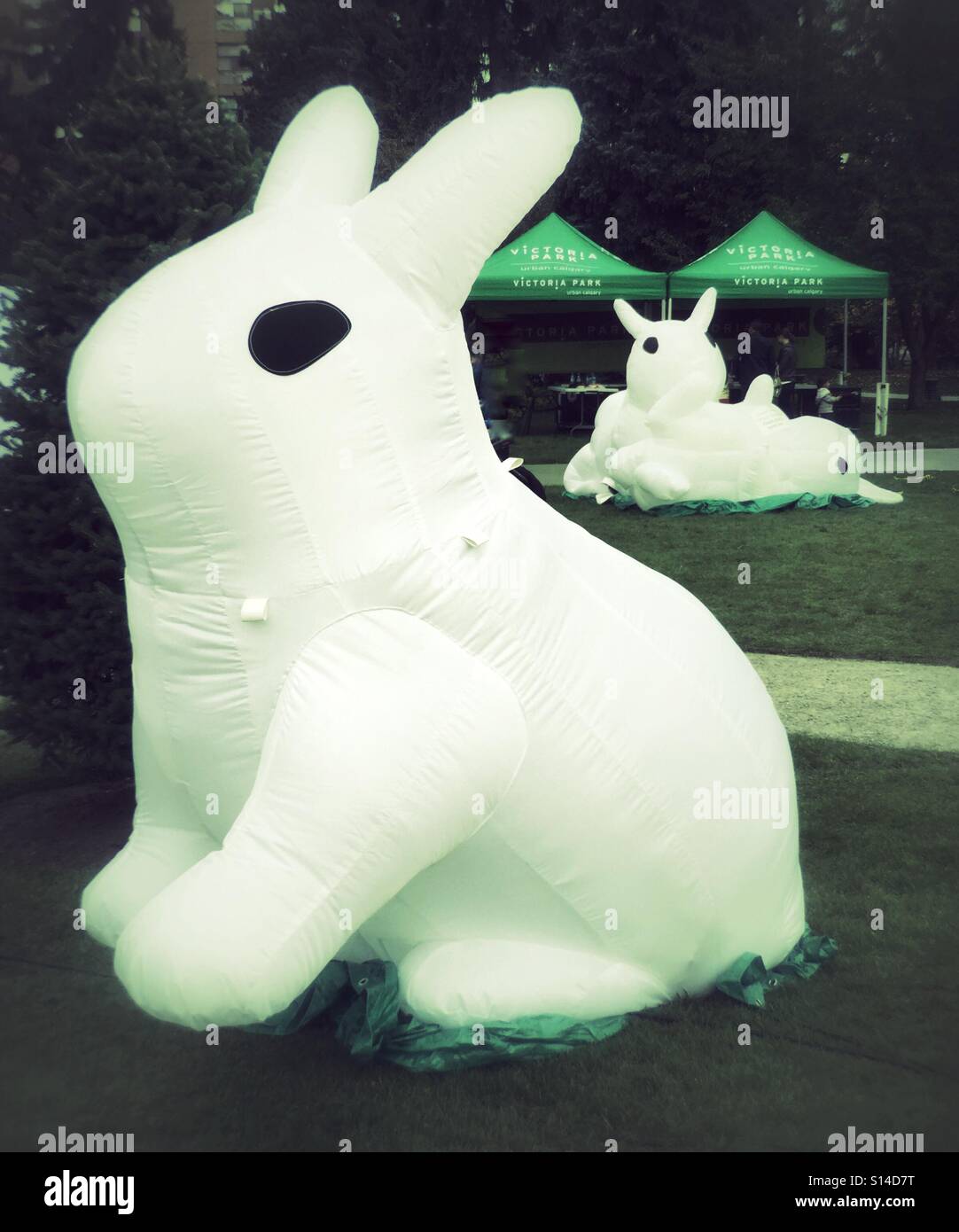 Inflatable rabbits hi-res stock photography and images - Alamy