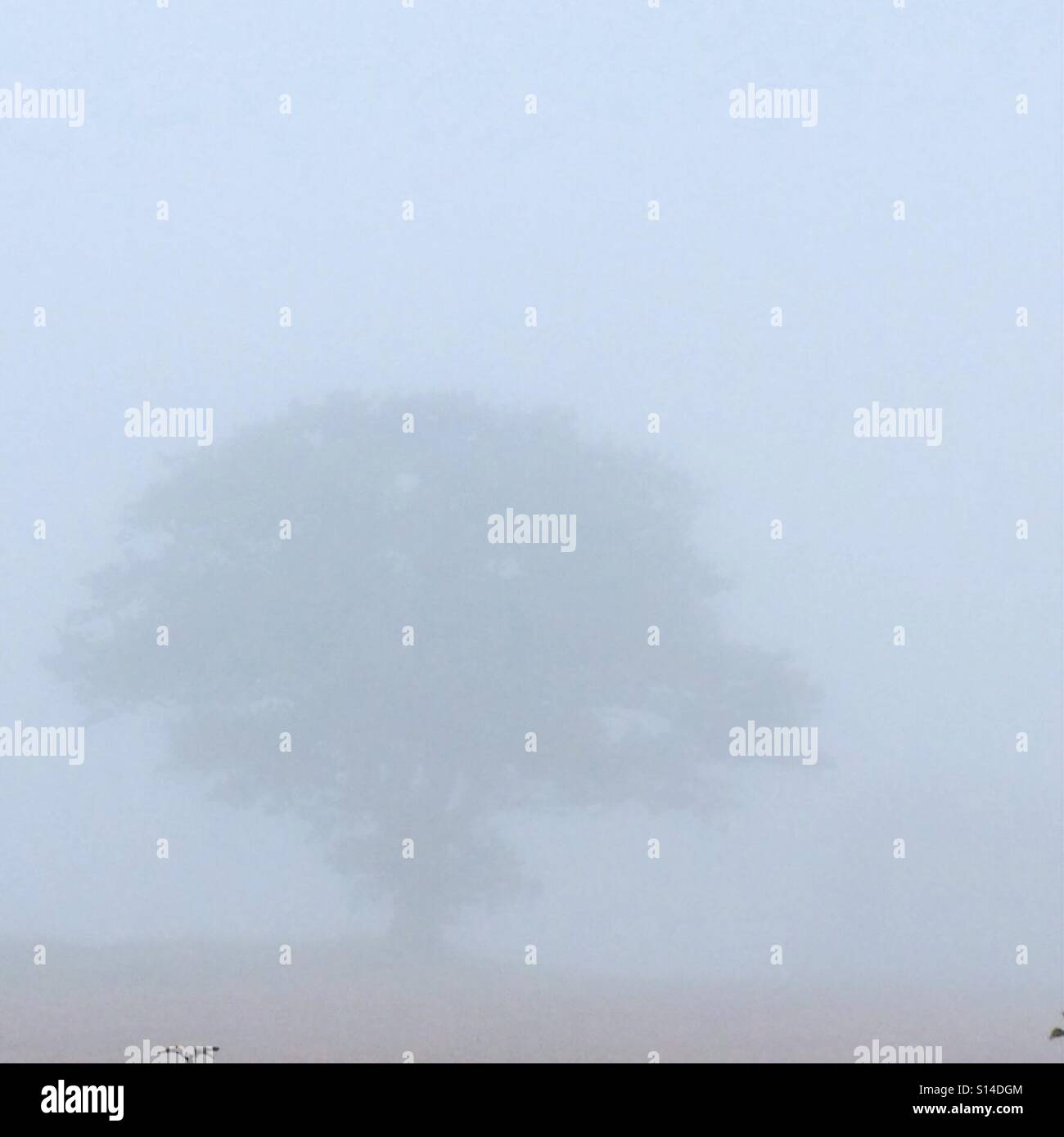 Faint mist hi-res stock photography and images - Alamy