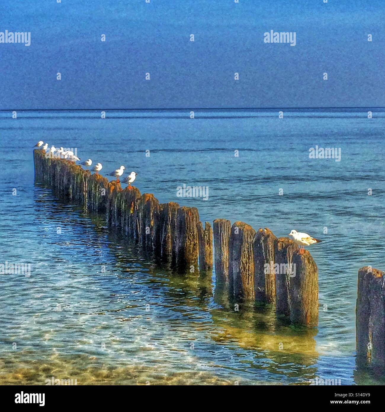 Sea Groins High Resolution Stock Photography and Images - Alamy