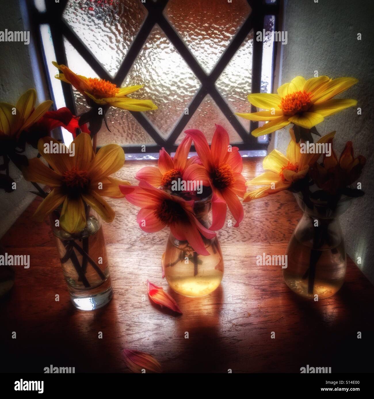 Window sill flowers hi-res stock photography and images - Alamy